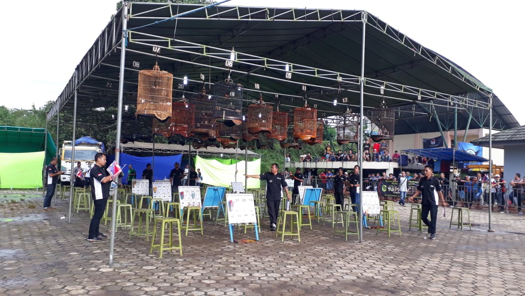 FESTIVAL BURUNG BERKICAU DISBUDPAR (BUPATI CUP) 2019 – DISBUDPAR KAB BOGOR